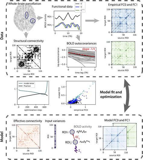 Model Parameters Estimation Adapted From Gilson Et Al 2020 To Download Scientific Diagram