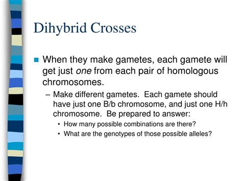 PPT Dihybrid Crosses PowerPoint Presentation Free Download ID 3220776