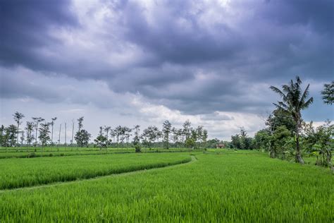 Lombok Quick Guide The Earlybird