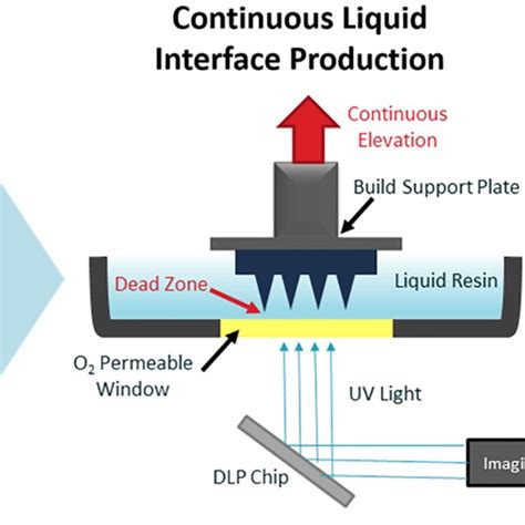 Continuous Liquid Interface Production Clip Process A Microneedle Download Scientific