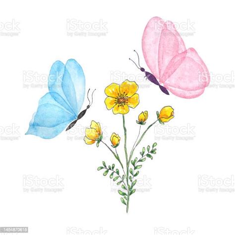 수채화 파란색과 분홍색 나비는 노란색 꽃에 고립 된 그림입니다 결혼식 휴일 및 어린이 디자인에 사용하기 위해 흰색 배경에 식물