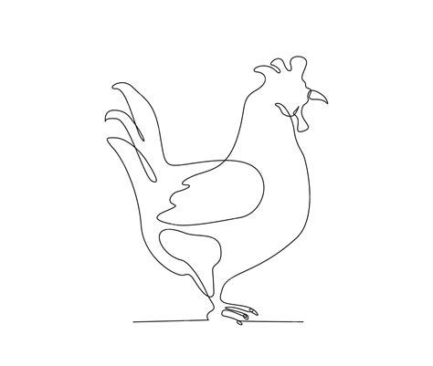 Premium Vector Continuous One Line Drawing Of Chicken Chicken Hen Premium Vector Continuous One Line Drawing Of Chicken Chicken Hen