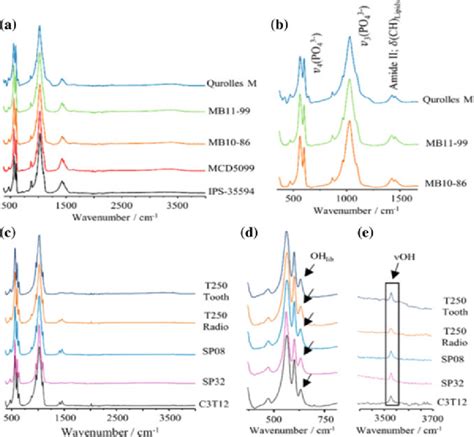 Vibrational Spectra Of Archeological Fossil Samples In Range A 380 4000 Download Scientific