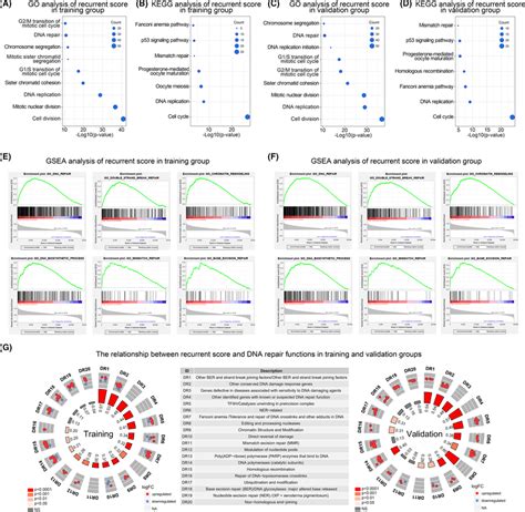 Biological Functions Associated With The Recurrent Scores A And B