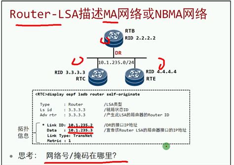 Ospf 基础知识学习笔记 不知名de菜鸟 博客园