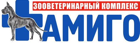 Услуги ветклиники Череповец | Амиго