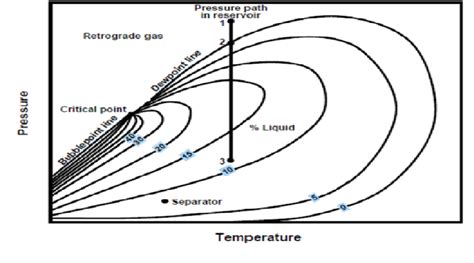 Figure 1 From Compositional Simulation Of Gas Condensate Wells From Tintea Astra Field