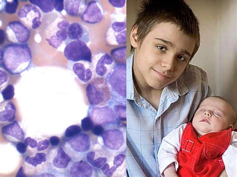 Science Saviour Siblings Pptx