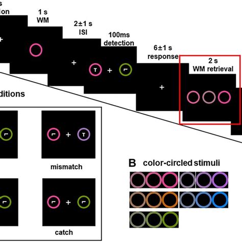 A An Example Of The Dual Paradigm Of The Target Detection And The