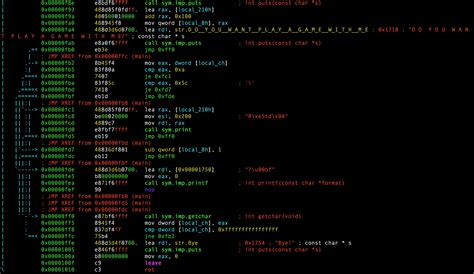 Reto Reversing Linux Binary Follow The White Rabbit