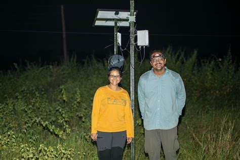 Automating Bat Detection For More Efficient Monitoring And Data Collection
