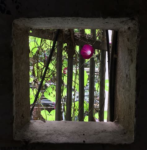 무료 이미지 빛 목재 꽃 창문 유리 벽 녹색 색깔 조명 정물 영상 모양 푸른 식물 2044x2086 1380307 무료 이미지 Pxhere