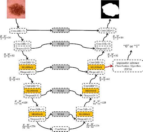 Figure From Only Positive Cases Fold High Order Attention Interaction Model For Skin