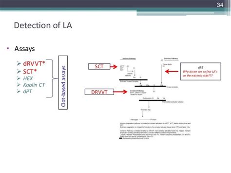 Laboratory Tests Of Hemostasis And Coagulation System
