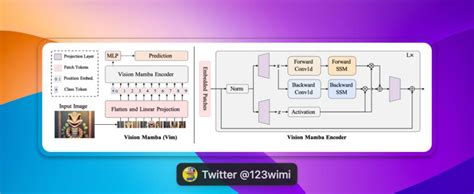 What Is State Space Model Ssm And Mamba Kaikai Luo Posted On The Topic Linkedin