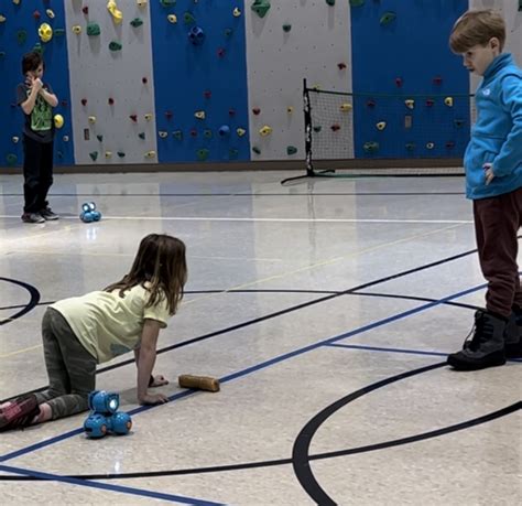 Babes Capture Crackers Using Coding Hope Babe