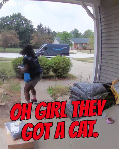 I Guess Our Amazon Delivery Lady Was Afraid Of Cats Rfunny