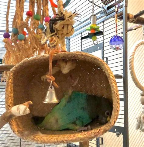 She Has No Shame 😒 Scrolller