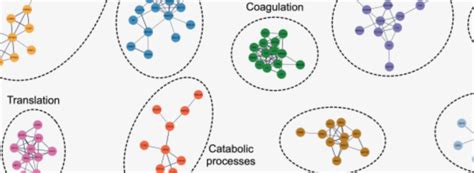 Biobanking Of Human Aqueous And Vitreous Liquid Biopsies For Molecular