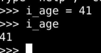 oeasy python 整数类型 int integer 整型变量 overmind 博客园