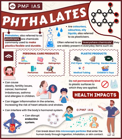 What Are Phthalates What Are Phthalates