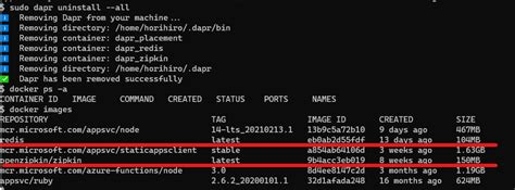 Radis Latest And Openzipkin Zipkin Are NOT Removed By Dapr Uninstall All Issue