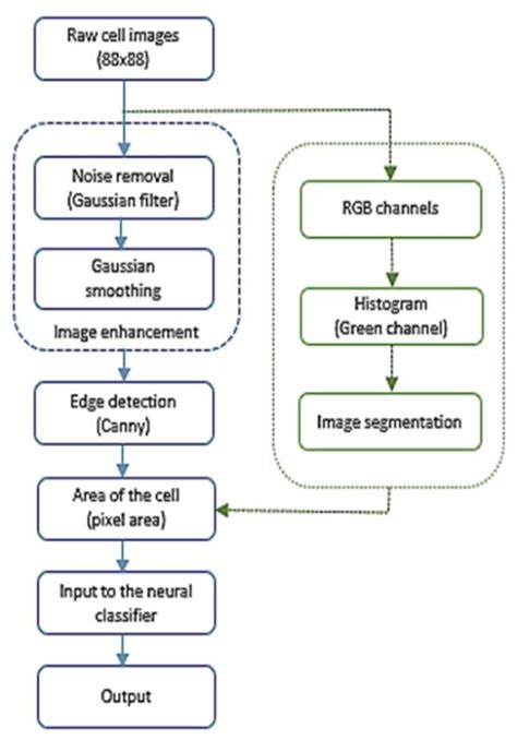 This Figure Shows The Steps Involved In Raw Image Processing And Nn Download Scientific Diagram