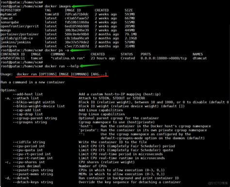 Docker 启动容器后如何查看启动参数 51cto博客 Docker 查看容器启动命令