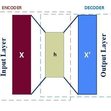 Autoencoder Structure Download Scientific Diagram
