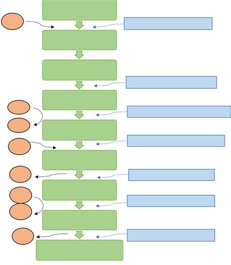 Schematic Representation Of Phb Biosynthesis Pathway Download