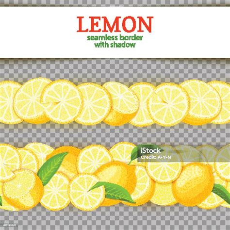 잘 익은 레몬 수평 원활한 국경입니다 및 벡터 일러스트 레이 션 카드 넓은 육즙 노란색 라임 열매와 나뭇잎의 주스 아침 식사 건강 한 식습관 해독 화장품 디자인에 대 한 끝