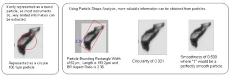 The Importance Of Particle Shape And Size