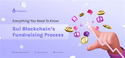 sui blockchain s fundraising process