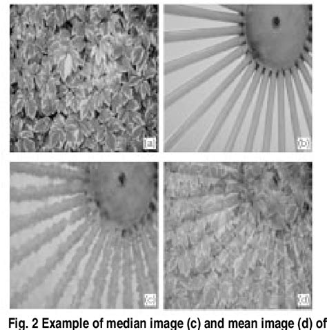 figure 3 from morphological interpolation and color images semantic