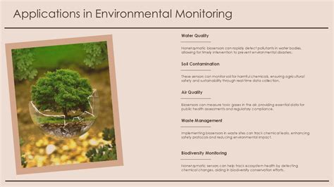 Applications In Environmental Monitoring Nonenzymatic Sensor Ppt