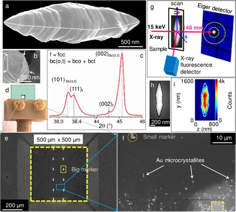Preparation Of Crystallite For Scanning X Ray Diffraction Microscopy Download Scientific