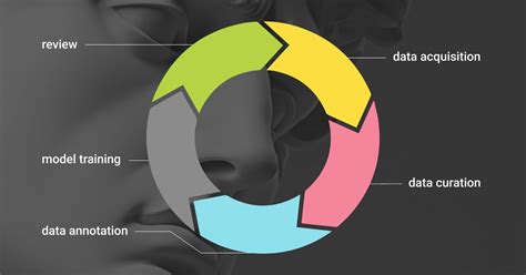what is data curation in today s information landscape label your data
