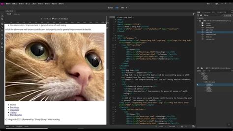 Dreamweaver Using The Css Designer Part 1 Youtube