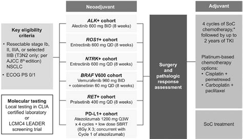 Figure 3 From Neoadjuvant Targeted Therapy In Resectable Nsclc Current And Future Perspectives