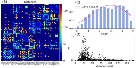 GitHub Ziaeemehr Frontiers Frequency Resolved Functional Connectivity Role Of Delay And