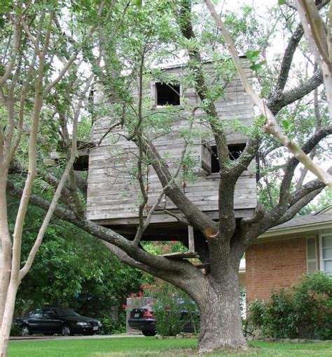 17 Best Images About Houses Among The Leaves On Pinterest House Beautiful Tree Houses And