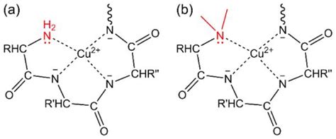 Evaluation Of Colorimetric Assays For Analyzing Reductively Methylated Proteins Biases And