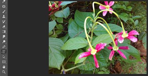 Add Text With Horizontal Type Tool In Photoshop GeeksforGeeks