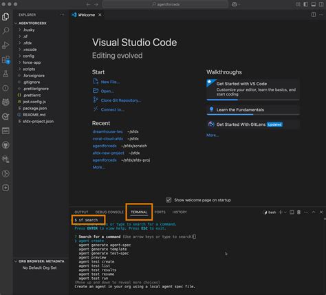 getting started with agentforce dx development