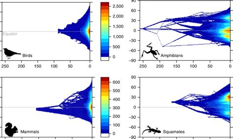Construction Of The Latitudinal Diversity Gradient Over Time Between
