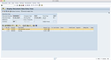 Partial And Residual Payments In Sap