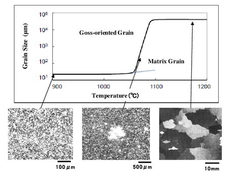 Secondary Recrystallization Behaviour [15] Download Scientific Diagram