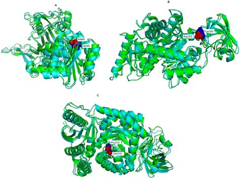 A Superimposed Structure Of Native Amino Acid Alanine In Sphere