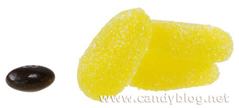 Haribo Ingwer Zitrone Gummis Candy Blog