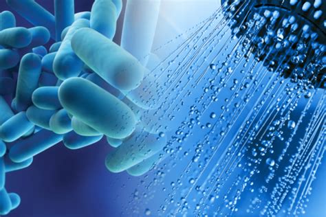 Home Nf Validation En